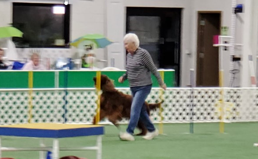 March 2023 Agility Trial | Admiral Perry Obedience Training Club, Erie, PA